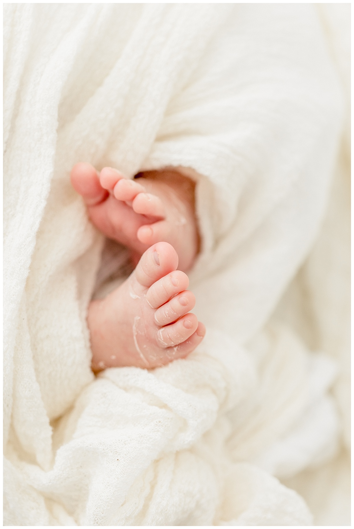Baby Luke Soft Natural Light Newborn Session